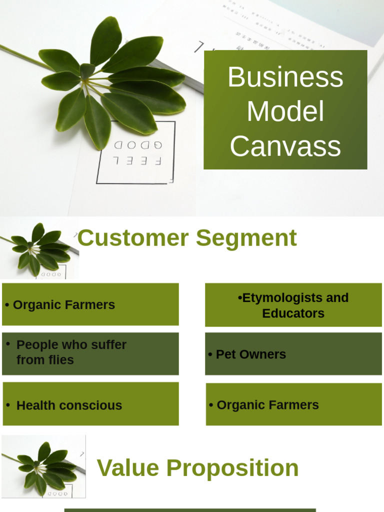 Business-Model-Canvass-PPT | PDF