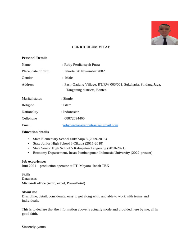 Curriculum Vitae - Robi Perdiansyah Putra | PDF