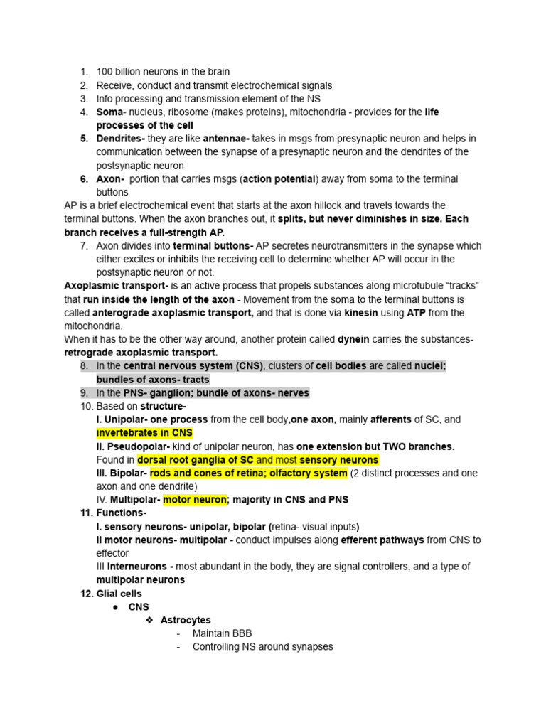 Biopsych CIA II (1) | PDF | Neurotransmitter | Hippocampus Anatomy