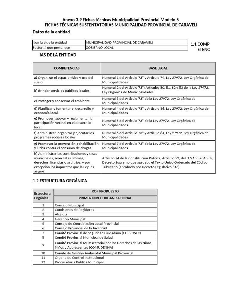 Ficha Tecnica Rof.pdf | PDF | Gobierno local | Transporte