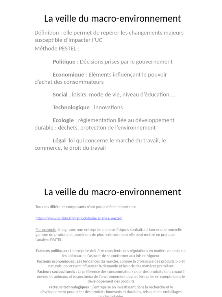 La Veille Du Macro-Environnement | PDF