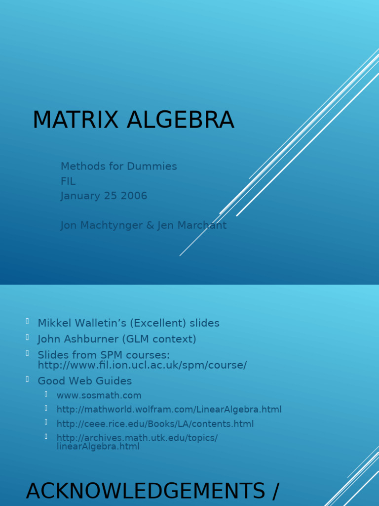 Linear Algebra Matrices | PDF | Matrix (Mathematics) | Determinant