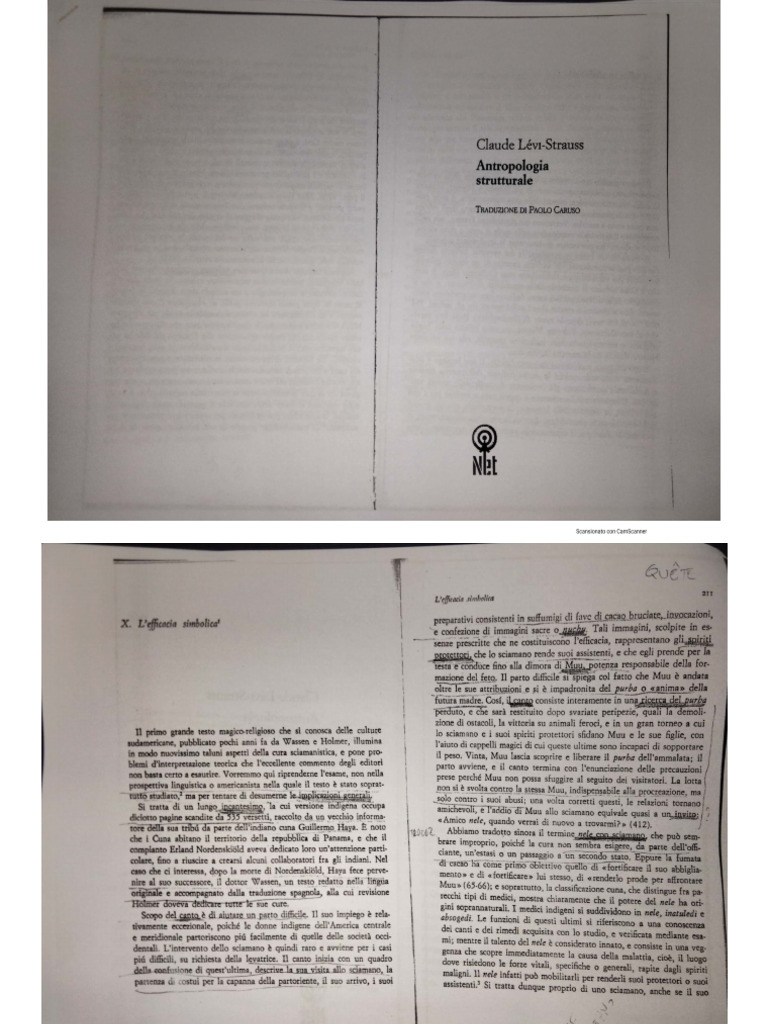 Antropologia Strutturale Levi-Strauss X | PDF