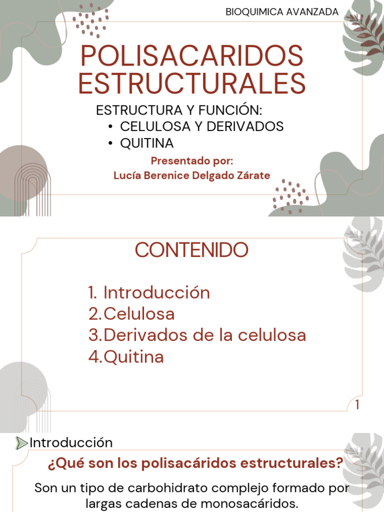 Estructura y función de quitina y celulosa | PDF | Polisacárido | Pared ...