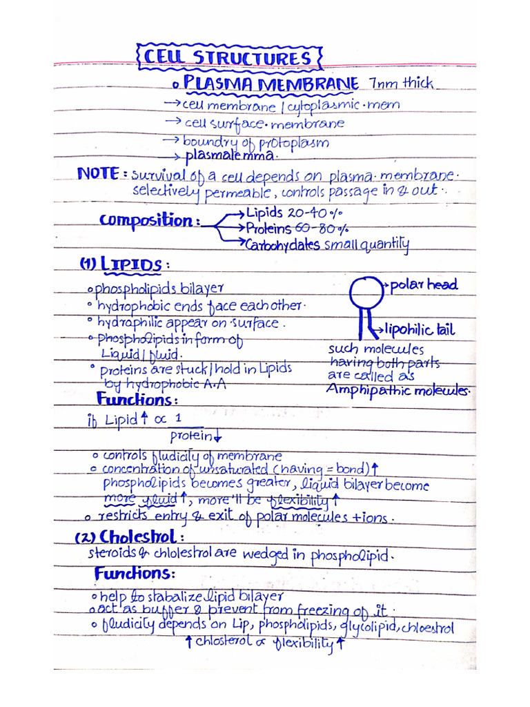 Cell Structure, Notes by Nabeeha | PDF