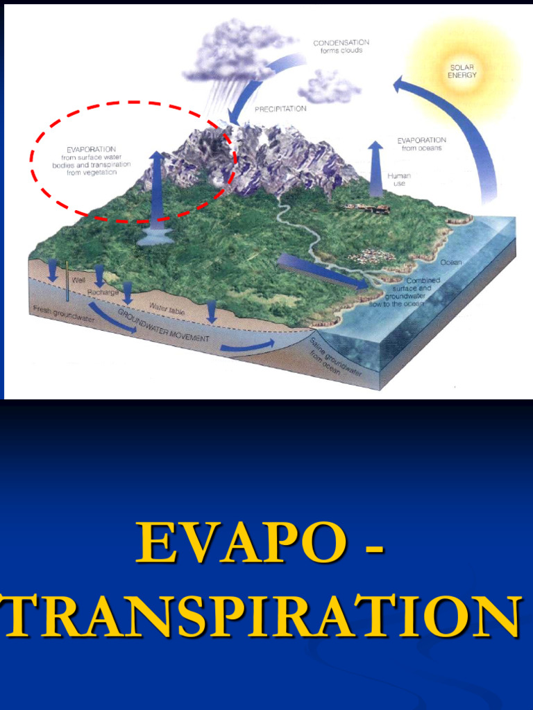 Chapter 4 EVAPOTRANSPIRATION | PDF | Evapotranspiration | Humidity