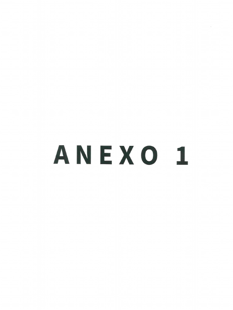 ANEXO 1 | PDF