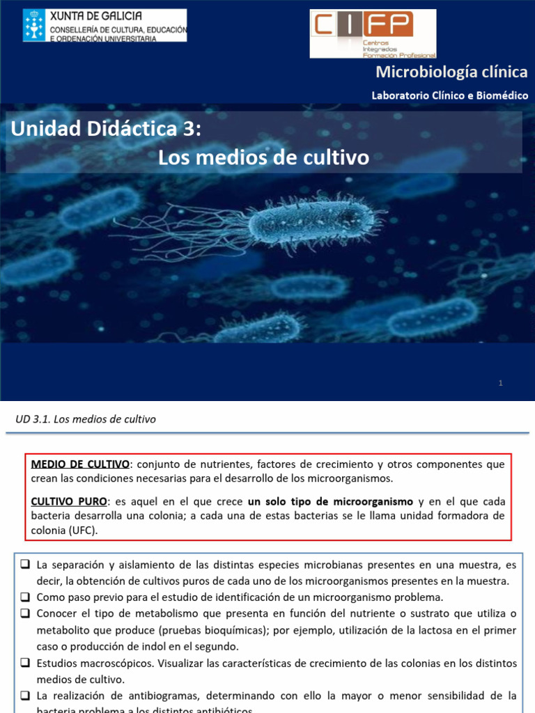 UD3.1. Los Medios de Cultivo (Presentación de Aula) | PDF | Las bacterias | Péptido