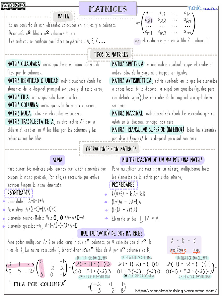 Matrices Teoria | PDF | Matriz (Matemáticas) | Determinante