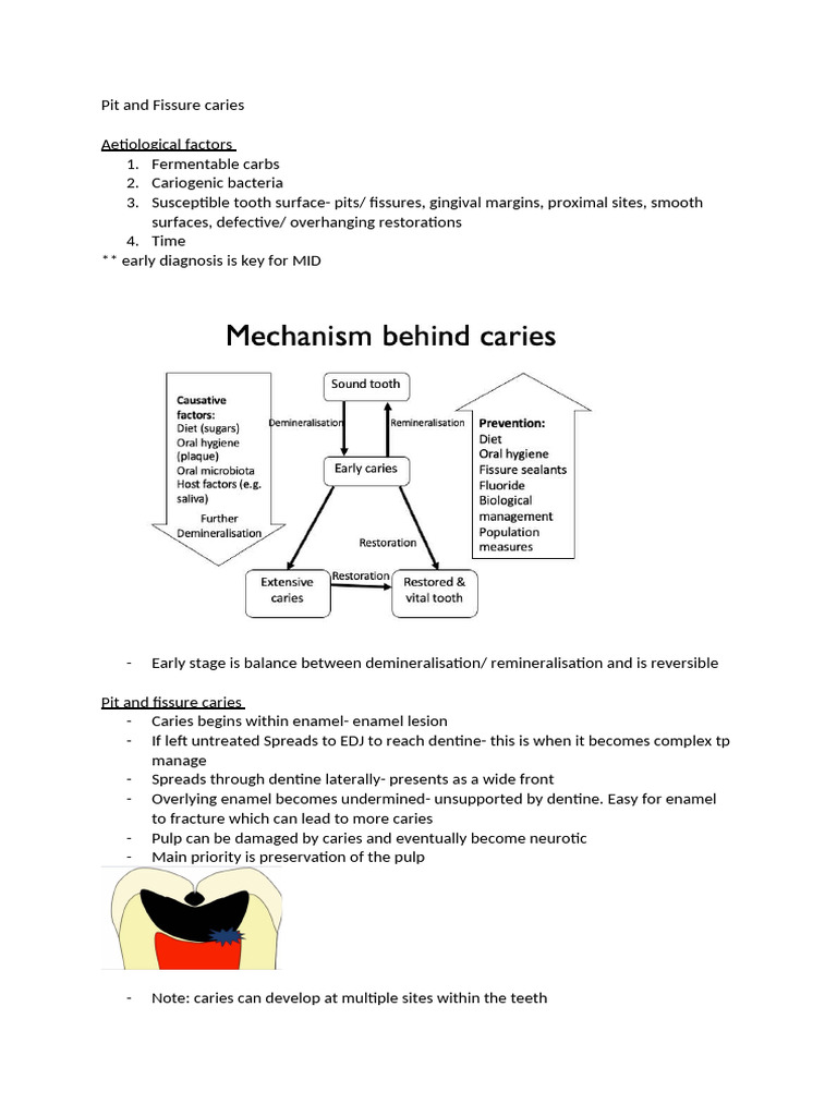 Pit and Fissure caries revision notes | PDF | Tooth Enamel | Dentistry