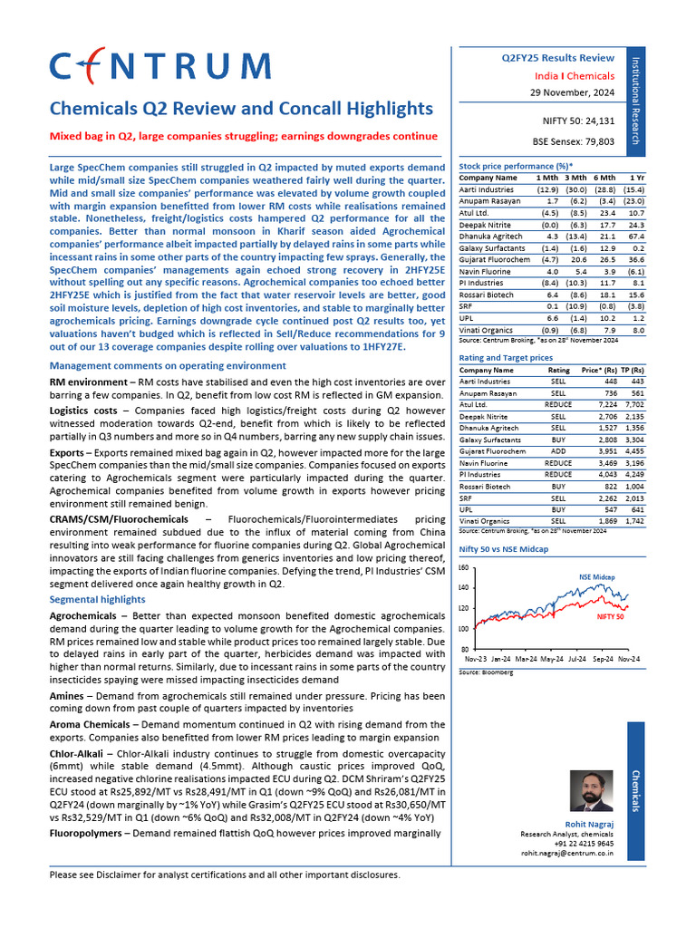 Centrum Results Review on Chemicals Q2 Review and Concall Highlights | PDF