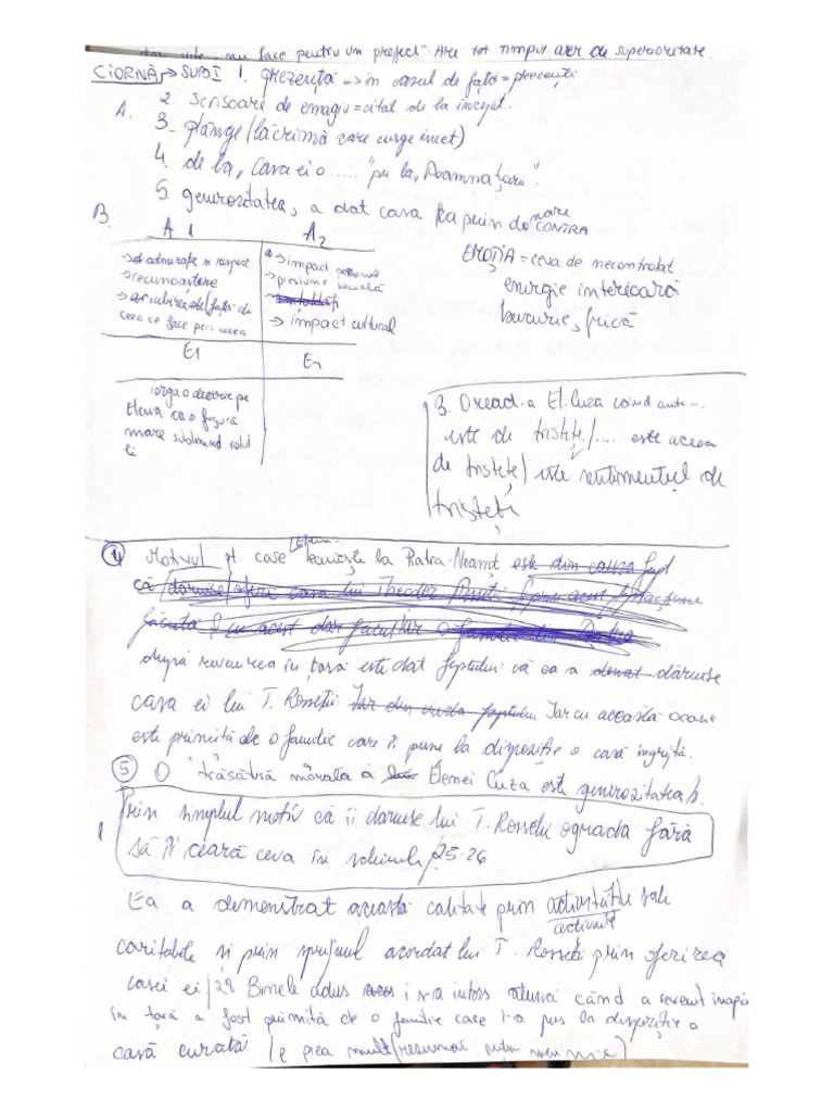 Documente Scanate | PDF