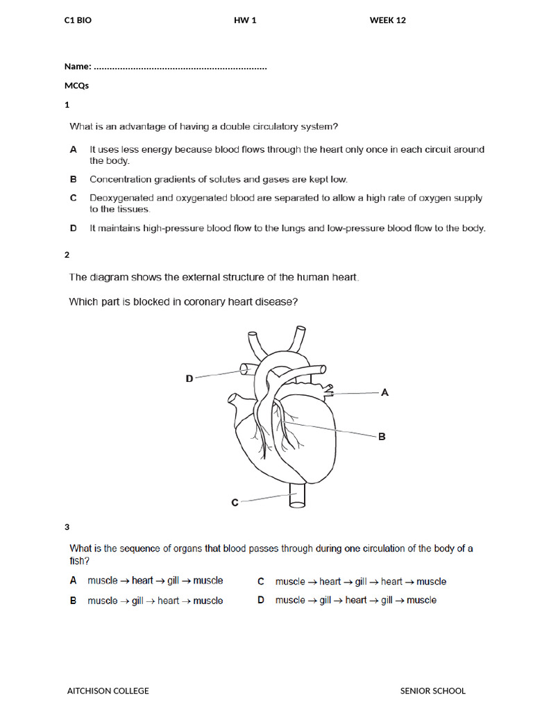 C1 Biology Homework Week 12 | PDF