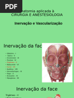 Forames Cranianos: Funções e Localizações | PDF | Anatomia humana ...