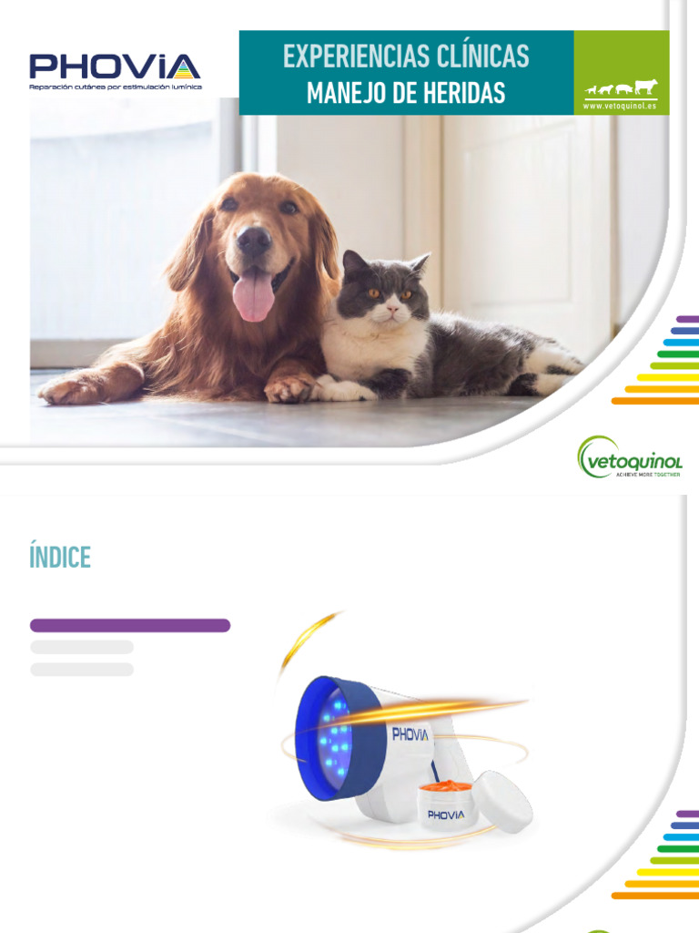 Manejo de Heridas en Perros y Conejos | PDF | Especialidades Medicas ...