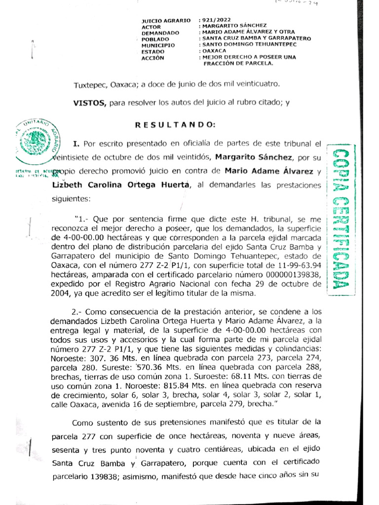 Sentencia Mario Adame | PDF