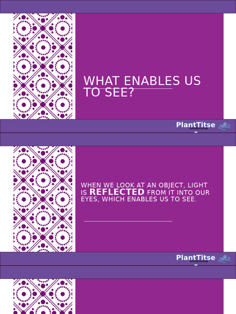 Understanding Light and Mirrors | PDF | Reflection (Physics) | Light