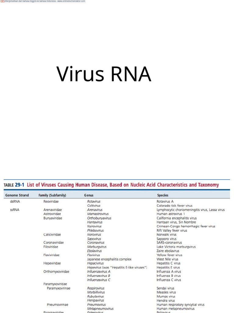 L2404 - VIROLOGI 2 RNA Viruses - Pptx.en - Id | PDF