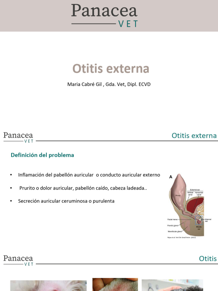 Lección 9. Otitis Externa | PDF | Inflamación | Las bacterias