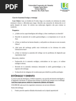 Omentos Mayor y Menor - Anatomía, Ubicación y Función - Kenhub | PDF ...