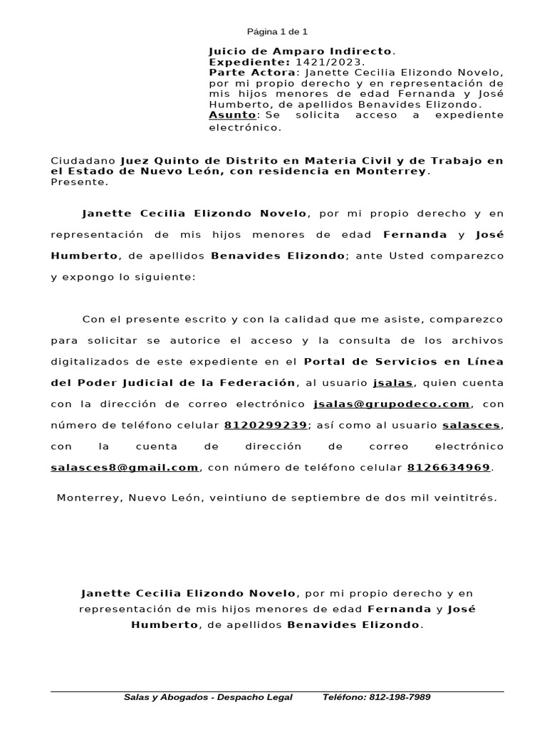 20230921 FormatoAutorizaAbogadosFederal | PDF