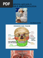 Anatomia da Irrigação e Inervação Facial | PDF | Anatomia humana ...