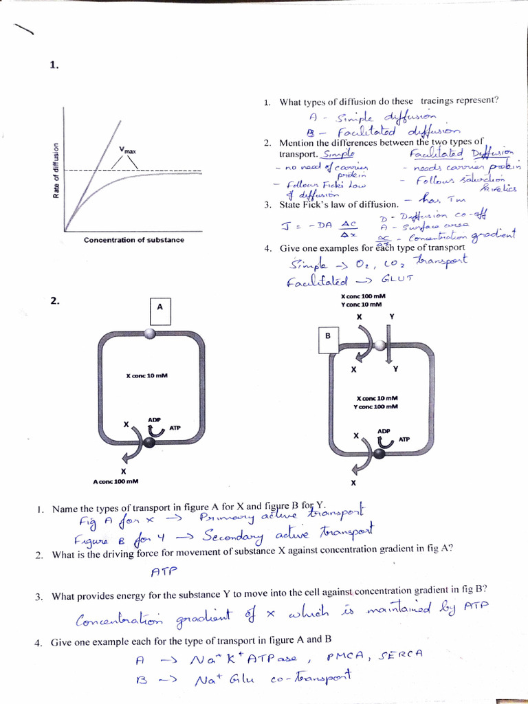 Gen Physio Charts Answers | PDF | Cell Biology | Biochemistry