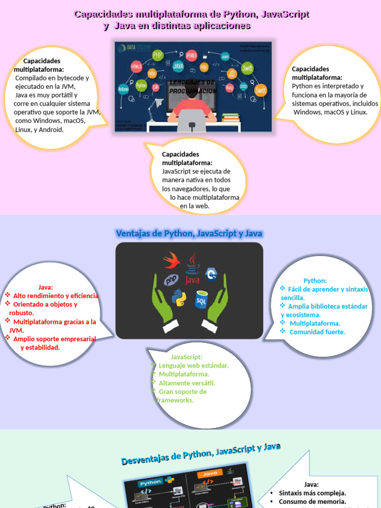 Infografia (Lenguaje de Programacion) | PDF | Software multiplataforma | Java (lenguaje de ...