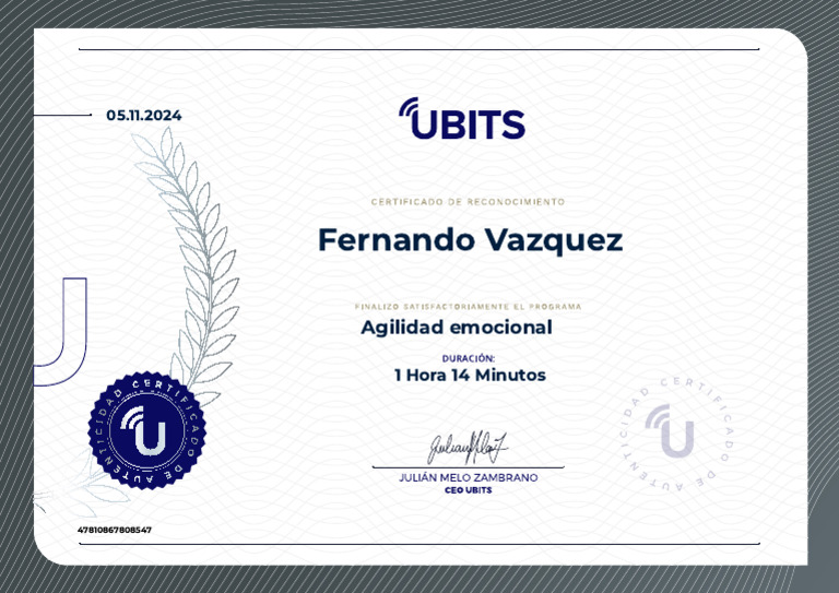 Ubits | PDF