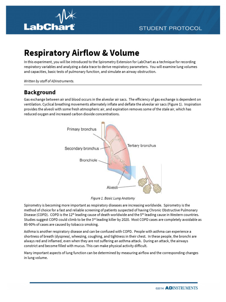 Spirometry: Measuring Respiratory Airflow | PDF | Exhalation | Chronic Obstructive Pulmonary Disease