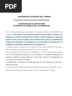 Clasificación de Actividades en RACERF | PDF | Economias