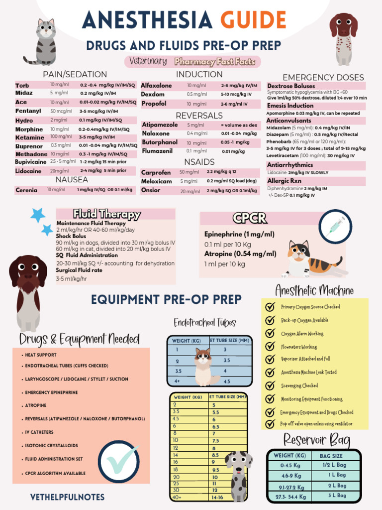 Anesthesia Machine & Emergency Protocols | PDF | Anesthesia | Clinical Medicine