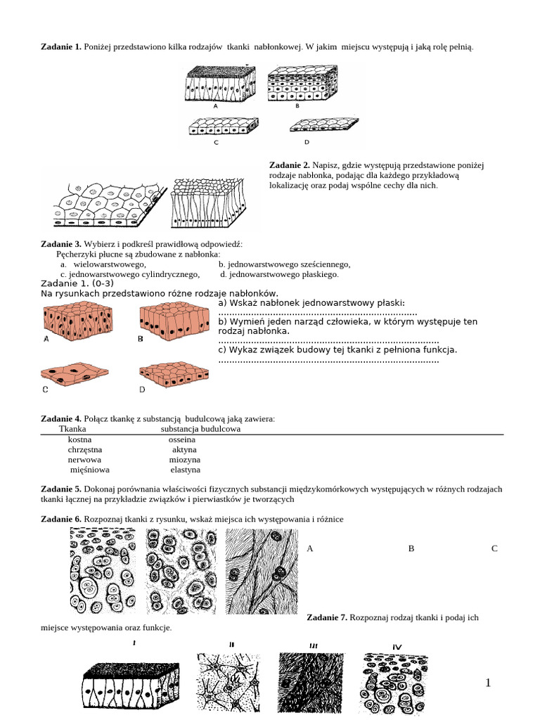 630730955 Tkanki Zwierze Ce | PDF