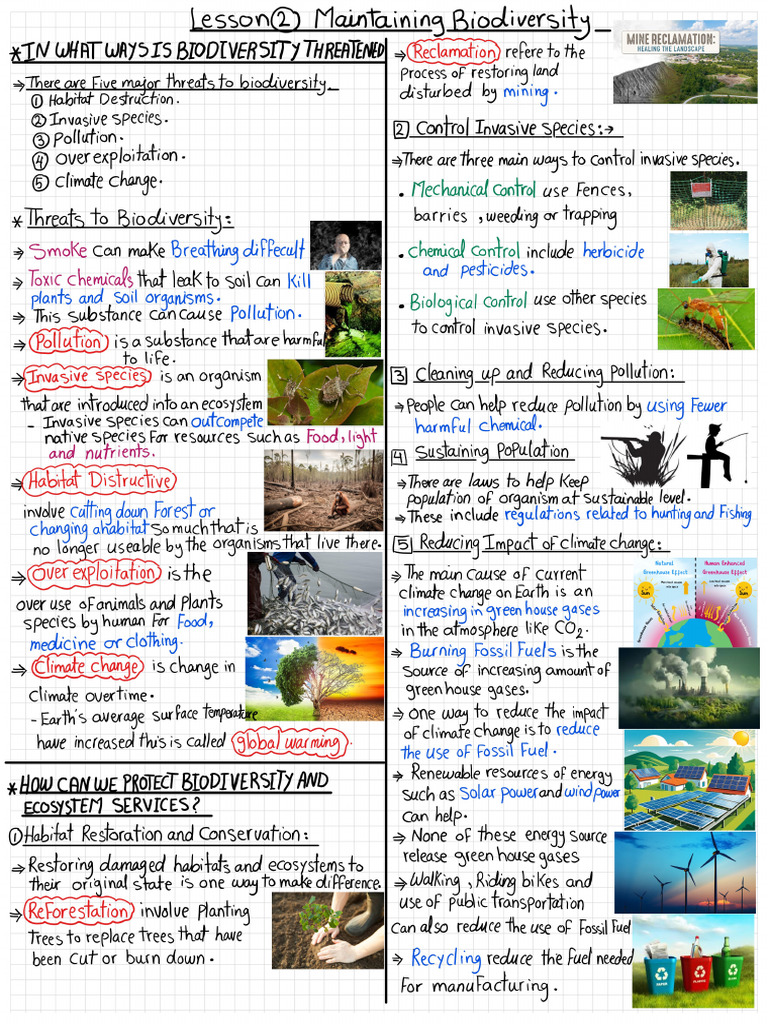 Chapter 3 Biodiversity in Ecosystems Lesson 2 Maintaining Biodiversity ...