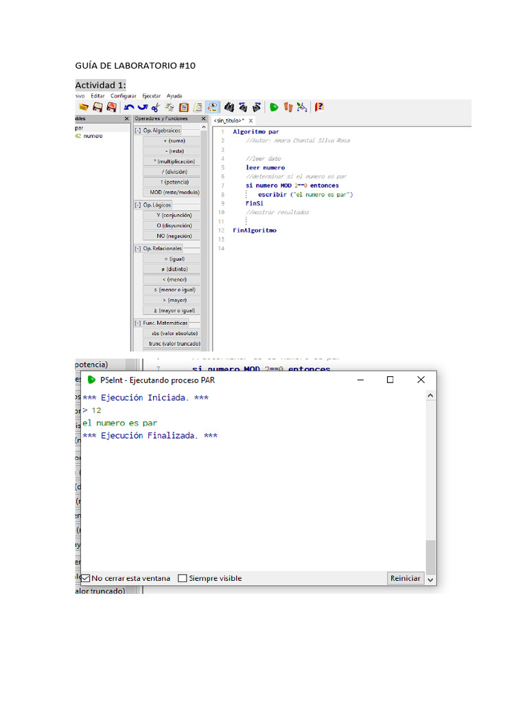 Guia 10 Amarita | PDF