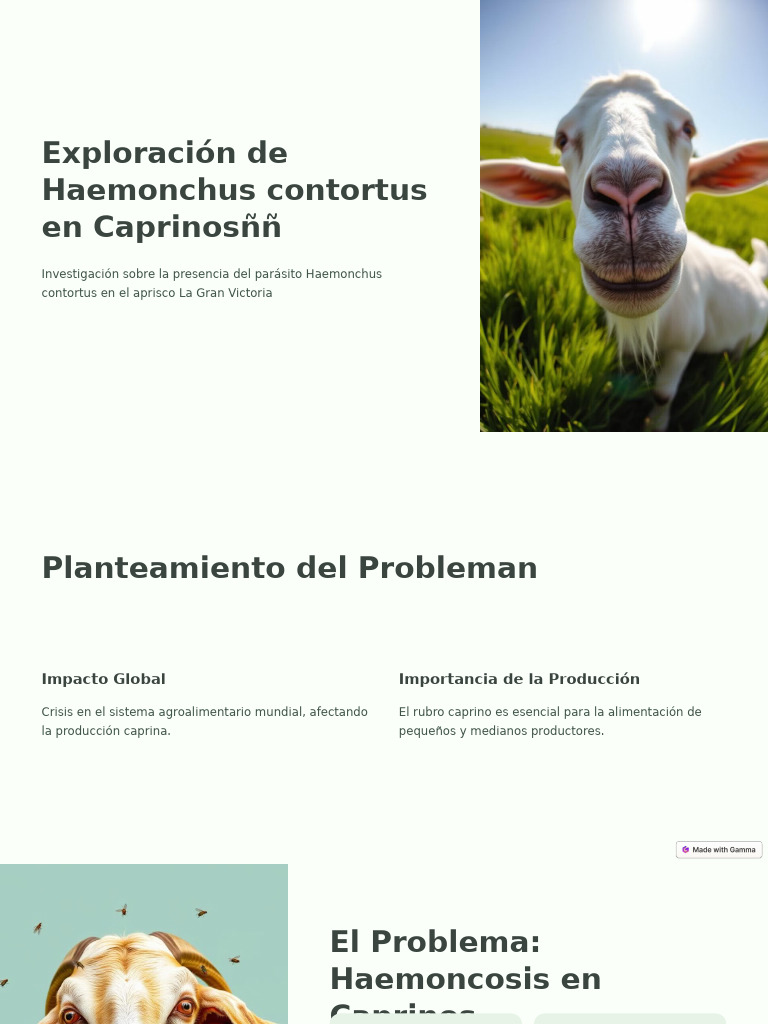 Haemonchus contortus en Caprinos Venezolanos | PDF | Parasitismo | Huevo
