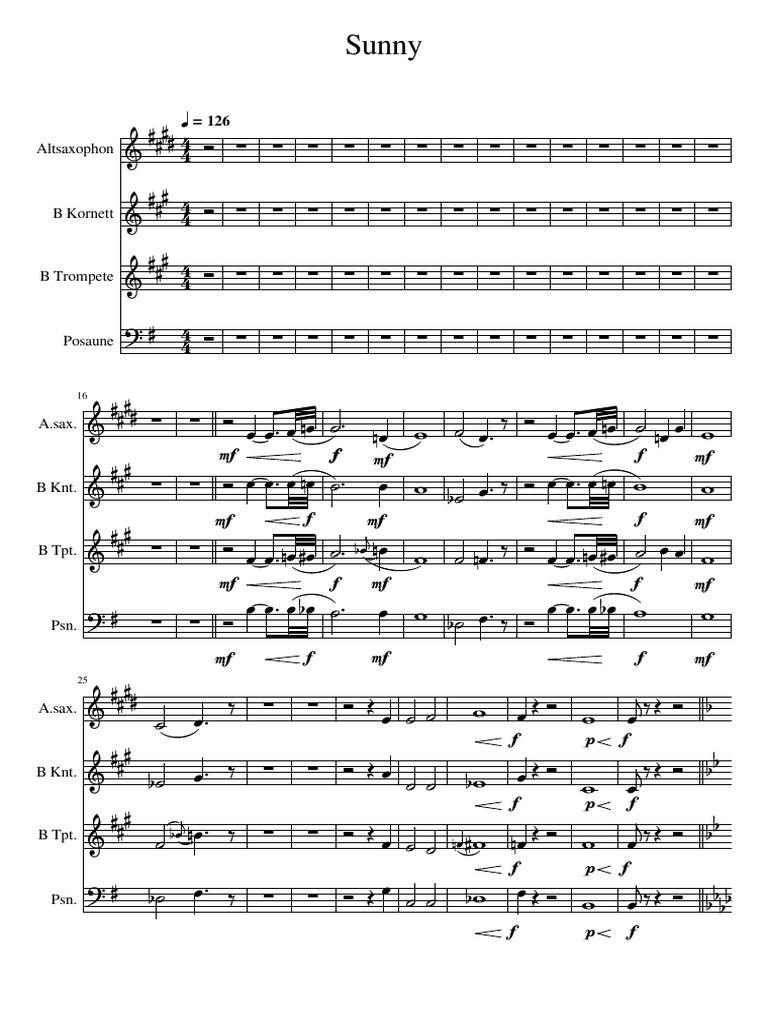 Sunny Partitur | PDF