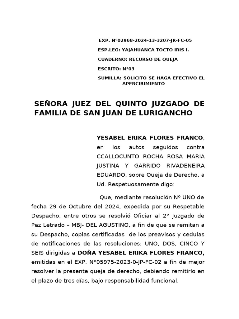 Solicito Se Haga Efectivo El Apercibimiento | PDF