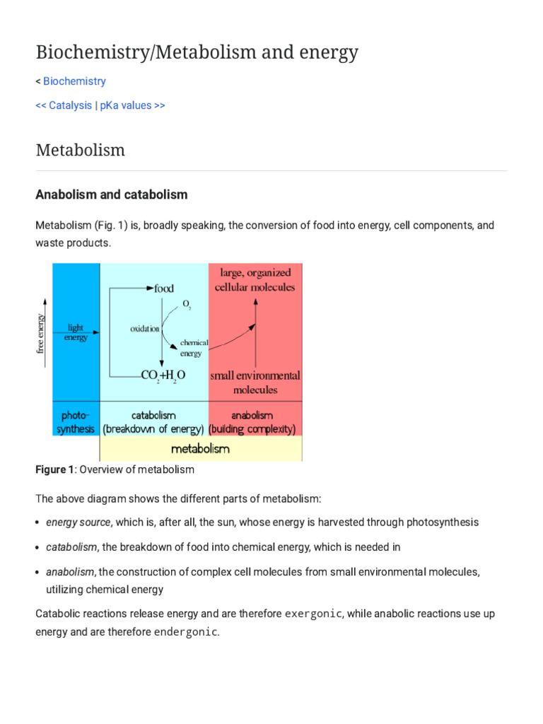 Biochemistry - Metabolism and Energy - Wikibooks, Open Books For An ...