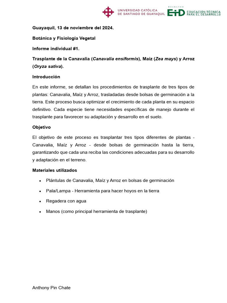 Informe Individual #1 - Anthony Pin Chate | PDF | Arroz | Maíz