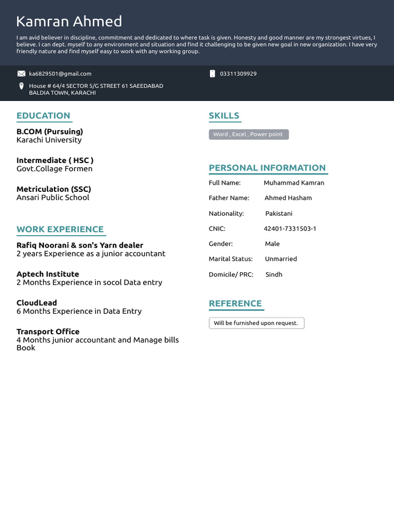 Muhammad Kamran's Professional Profile | PDF