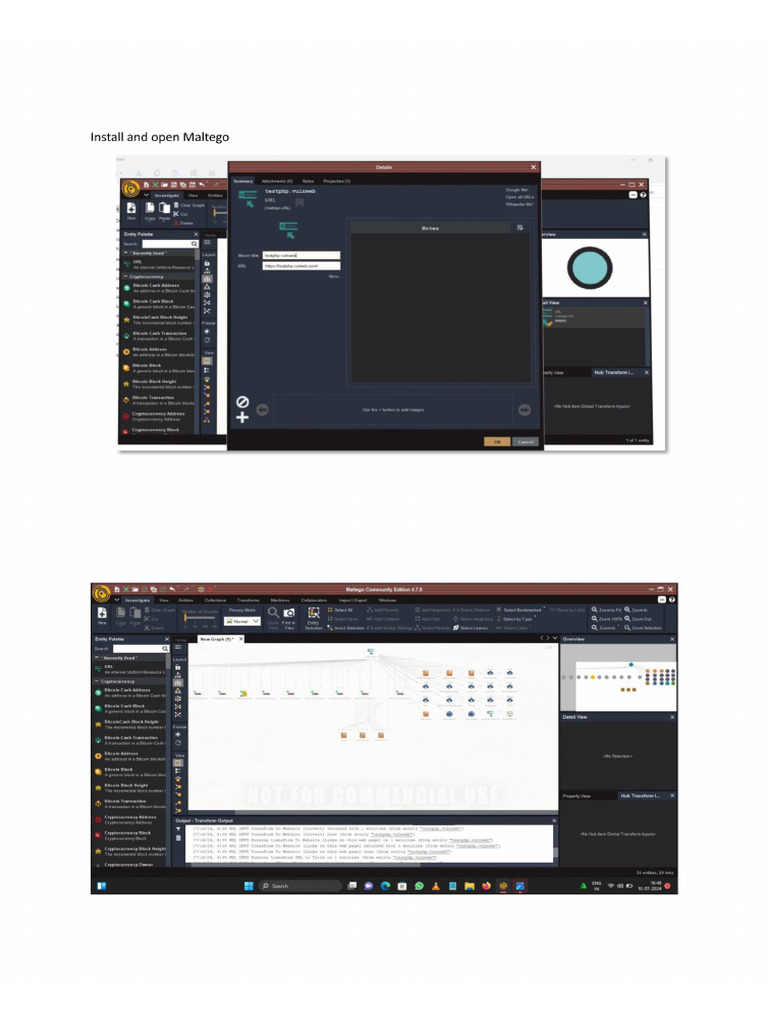 Information Gathering using Maltego | PDF