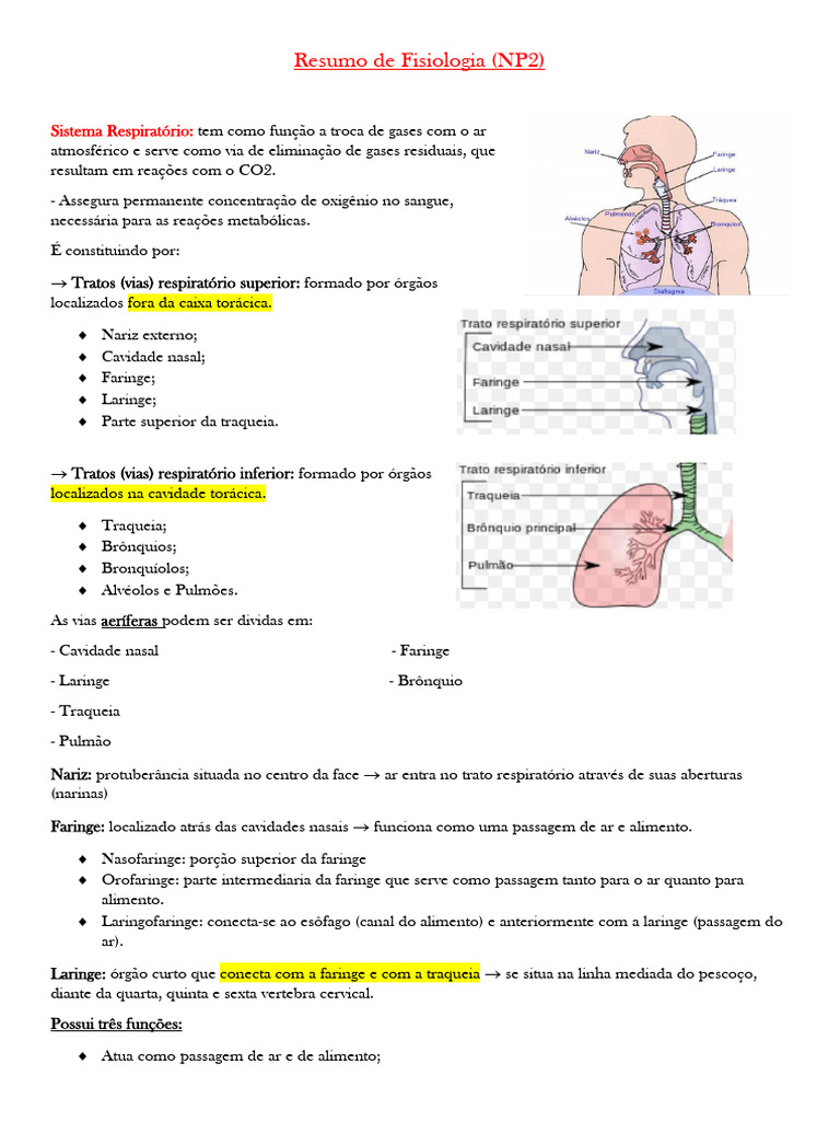 Resumo de Fisiologia NP2 | PDF | Rim | Digestão