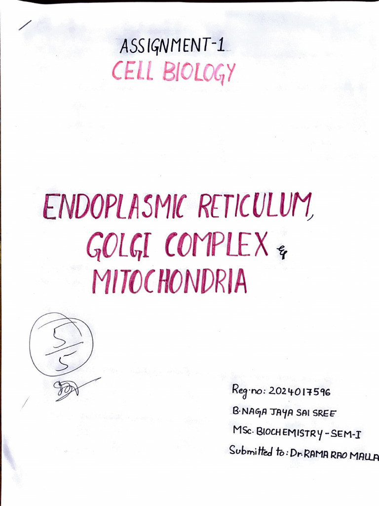 Cell Biology Assignment 1 Sem1 | PDF