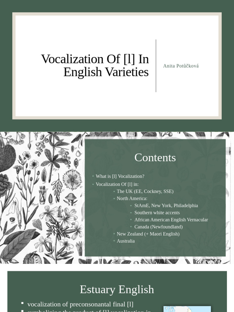 Vocalization of L in English Varieties | PDF | English Language ...