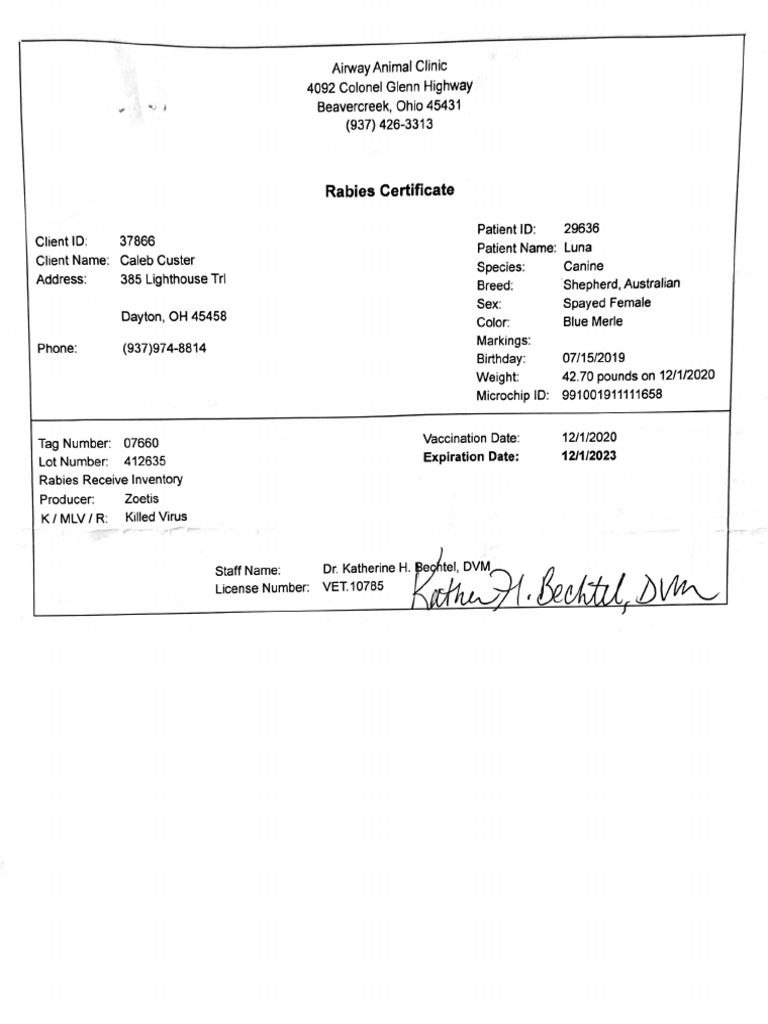 luna rabies cert | PDF
