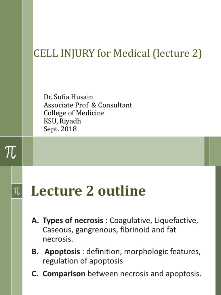 Types of Cell Injury: Necrosis & Apoptosis | PDF | Apoptosis | Necrosis
