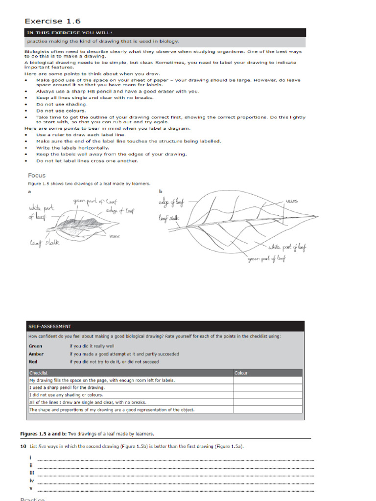 Cell and Plant Nutrition Activity Print | PDF