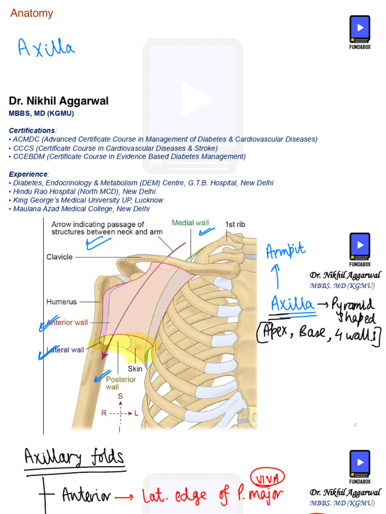 Axilla & Brachial Plexus | PDF | Arm | Musculoskeletal System Axilla & Brachial Plexus | PDF | Arm | Musculoskeletal System