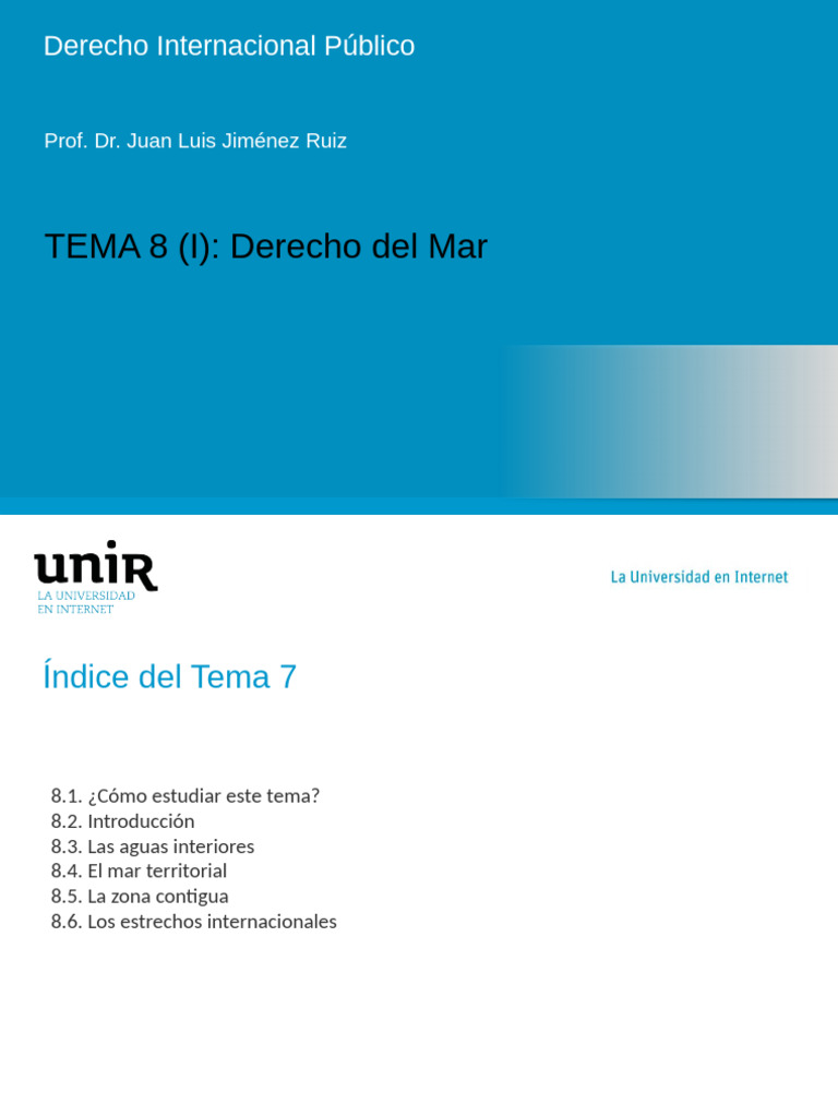 Tema 8 Idip | PDF | Aguas territoriales | Relaciones Internacionales
